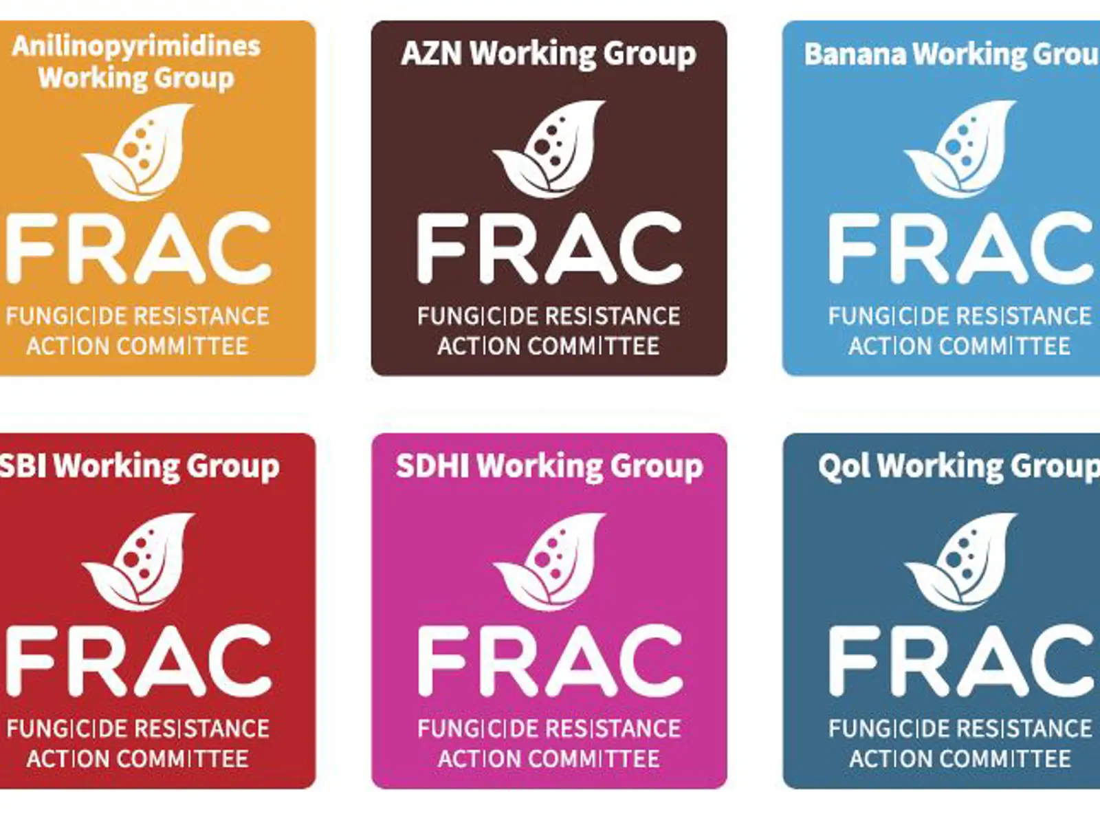 Home | FRAC